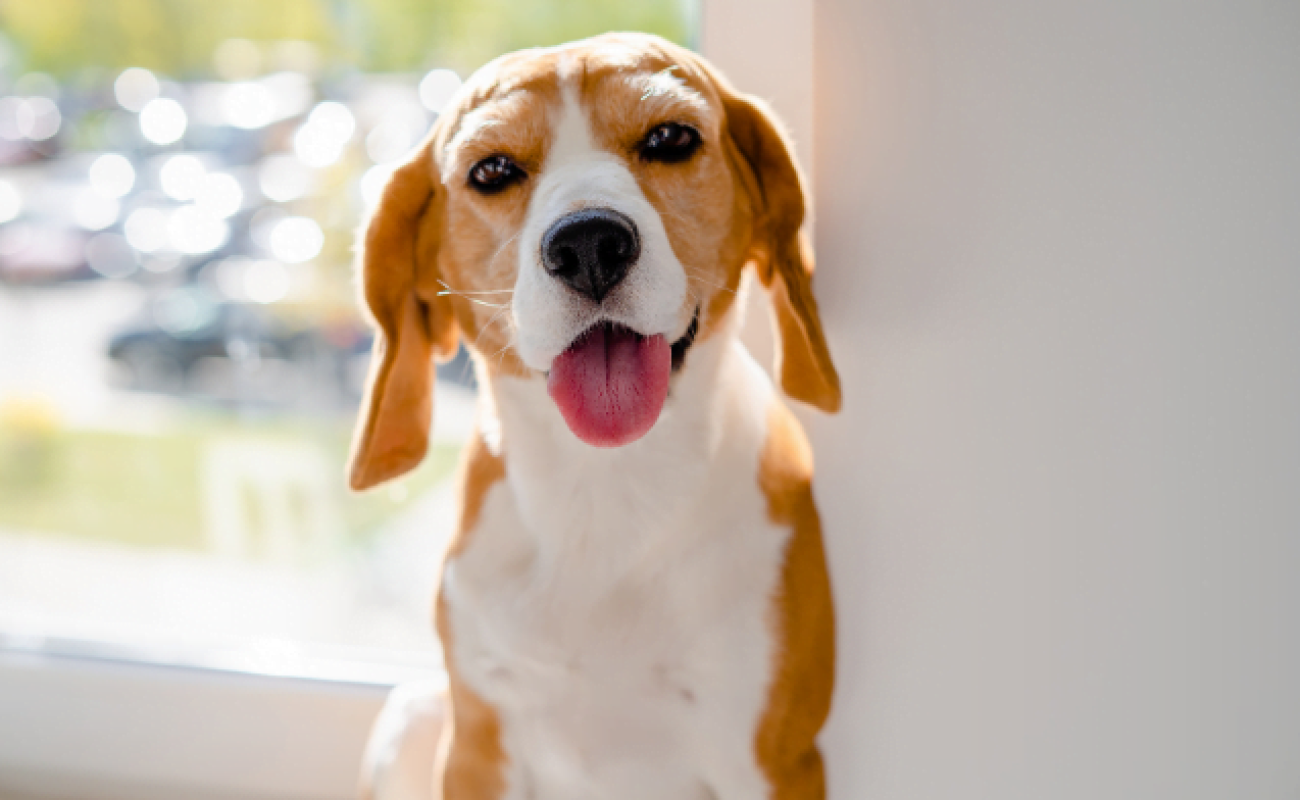 Wat is triggerstacking?